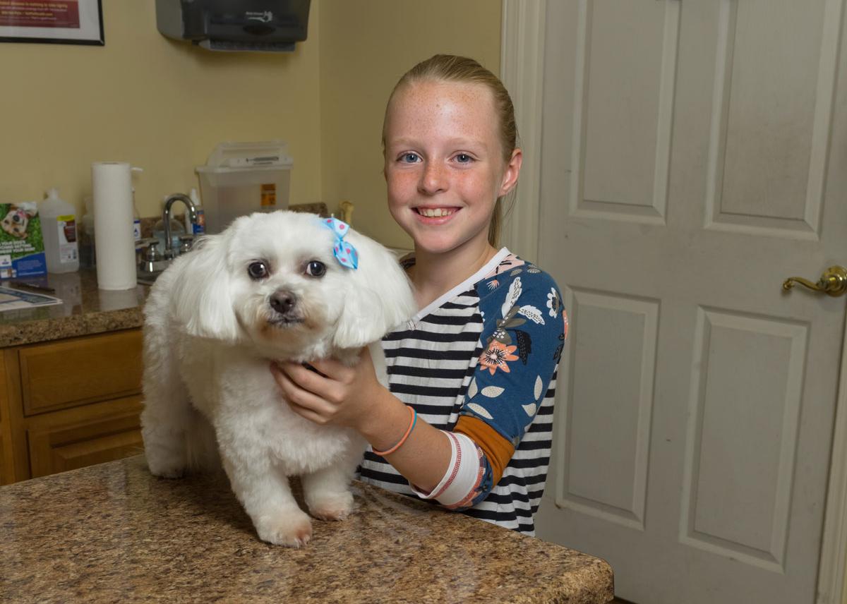 Fun with Furry Friends | Mississippi State University Extension Service Fun with Furry Friends | Mississippi State University Extension Service